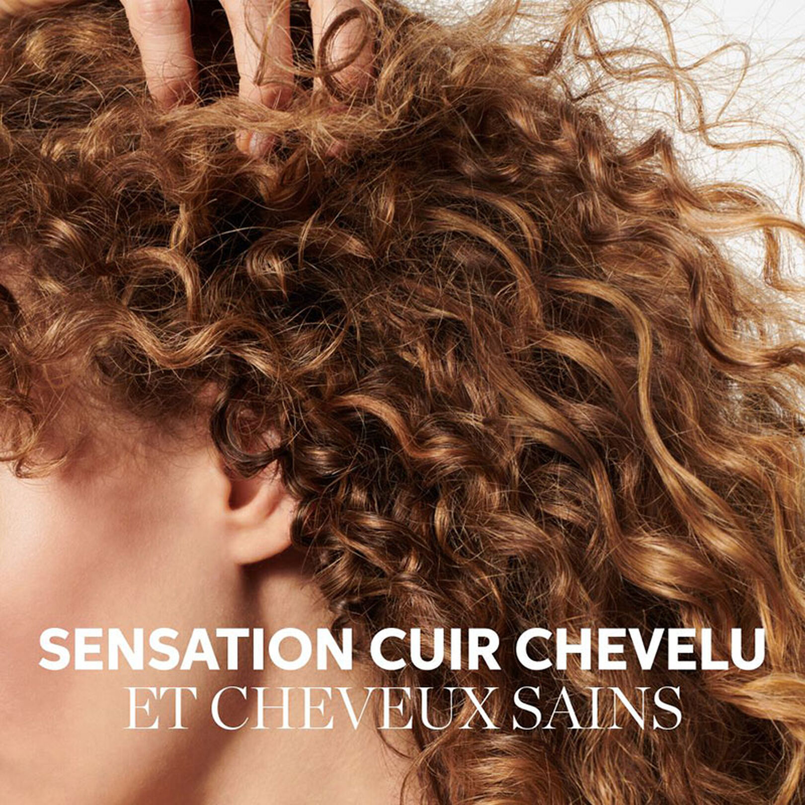 Shampooing régénérant pour cuirs chevelus normaux à gras Renewing ...