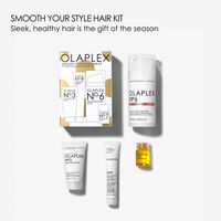 Kit pour cheveux Smooth your Style Holidays Kits | laboutiqueducoiffeur.com