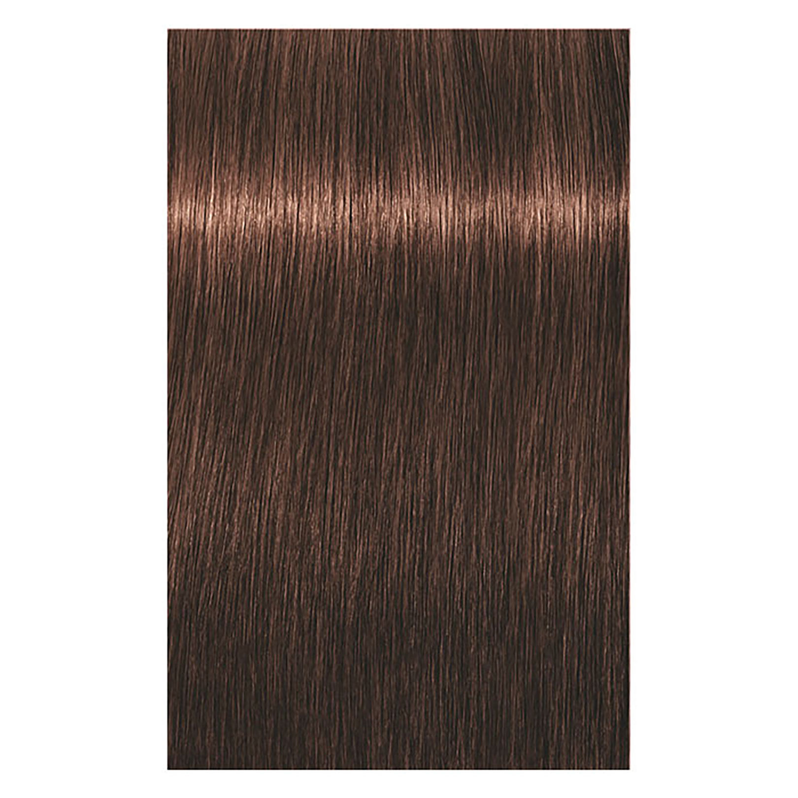 Coloration permanente Igora Royal 5-6 châtain clair chocolat ...